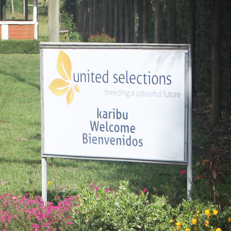 Collaborative Development towards a Colorful Future | United Selections