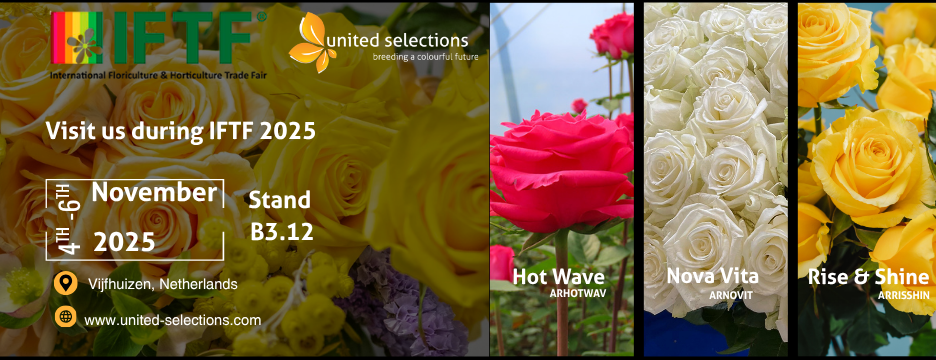 IFTF 2025 | United Selections