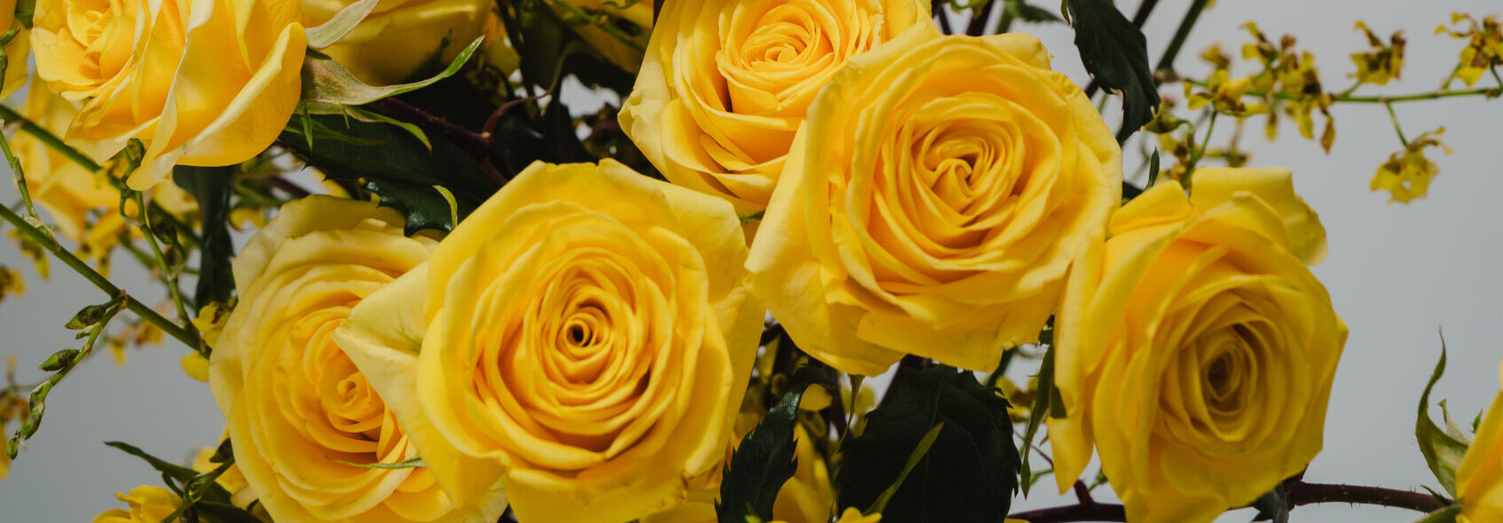 United in celebration: Our End of Year Party | United Selections