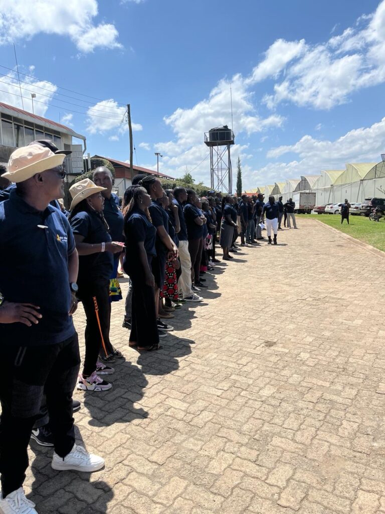 United in celebration: Our End of Year Party | United Selections